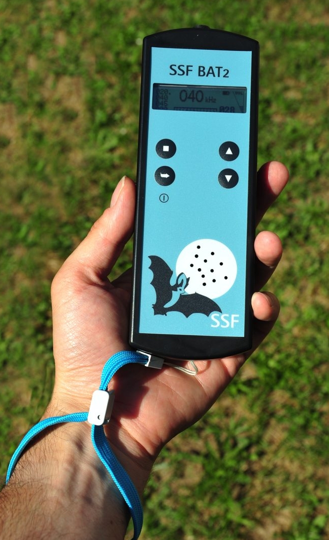 All About Bats - SSF BAT2-Detektor - Ultraschalldetektor